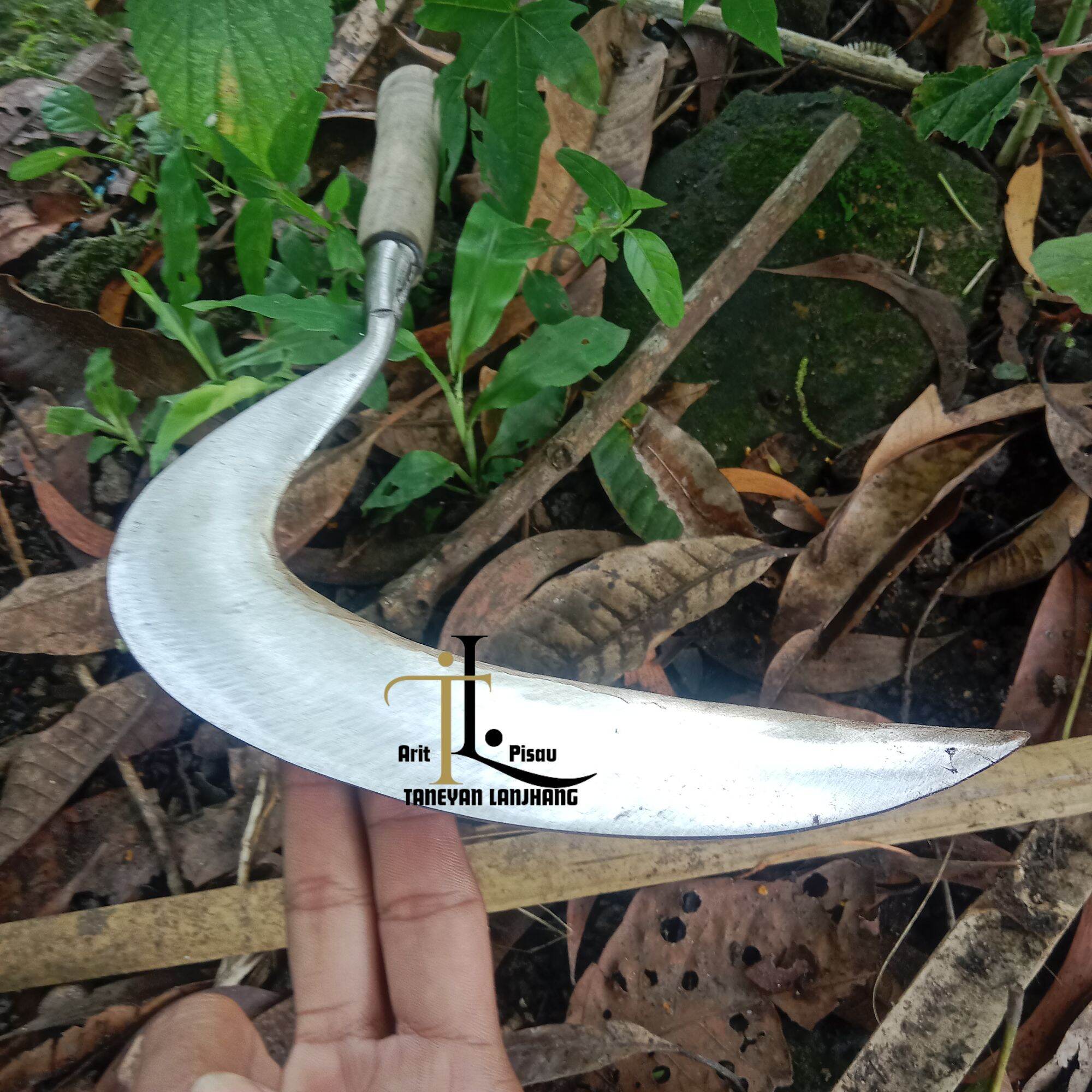 Arit Baja Merah Super Tajam Ukuran 43 Cm/Sabit Rumput Full Baja/Sabit ...