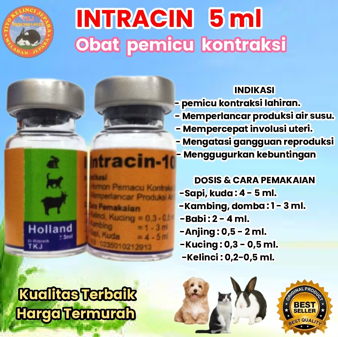 intracin 5 ml obat untuk pemicu kontraksi pada hewan | Lazada Indonesia