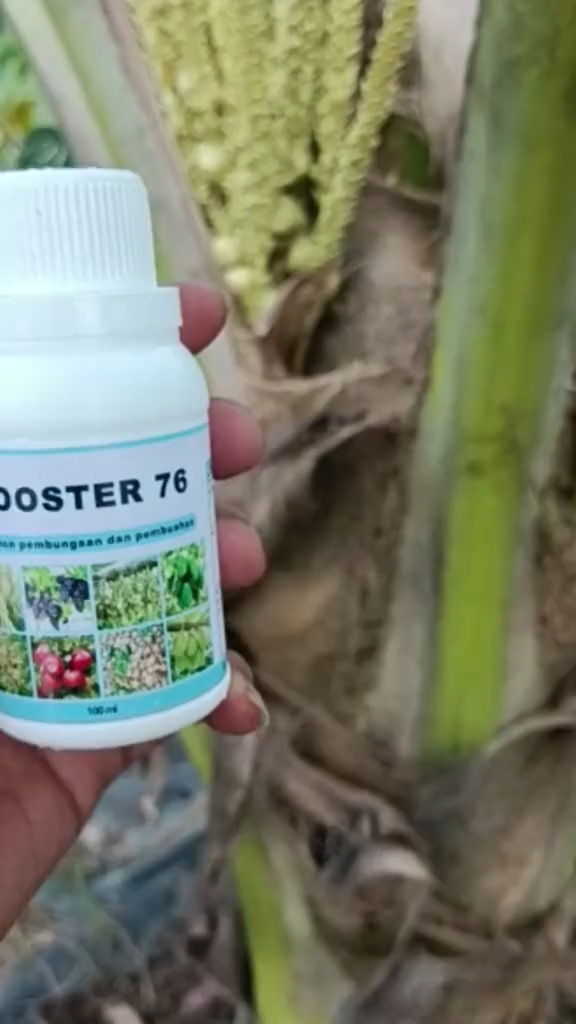 BOOSTER 76 kemasan 500ml pupuk organik penyubur pelebat dan pembesar tanaman buah dan sayur ...