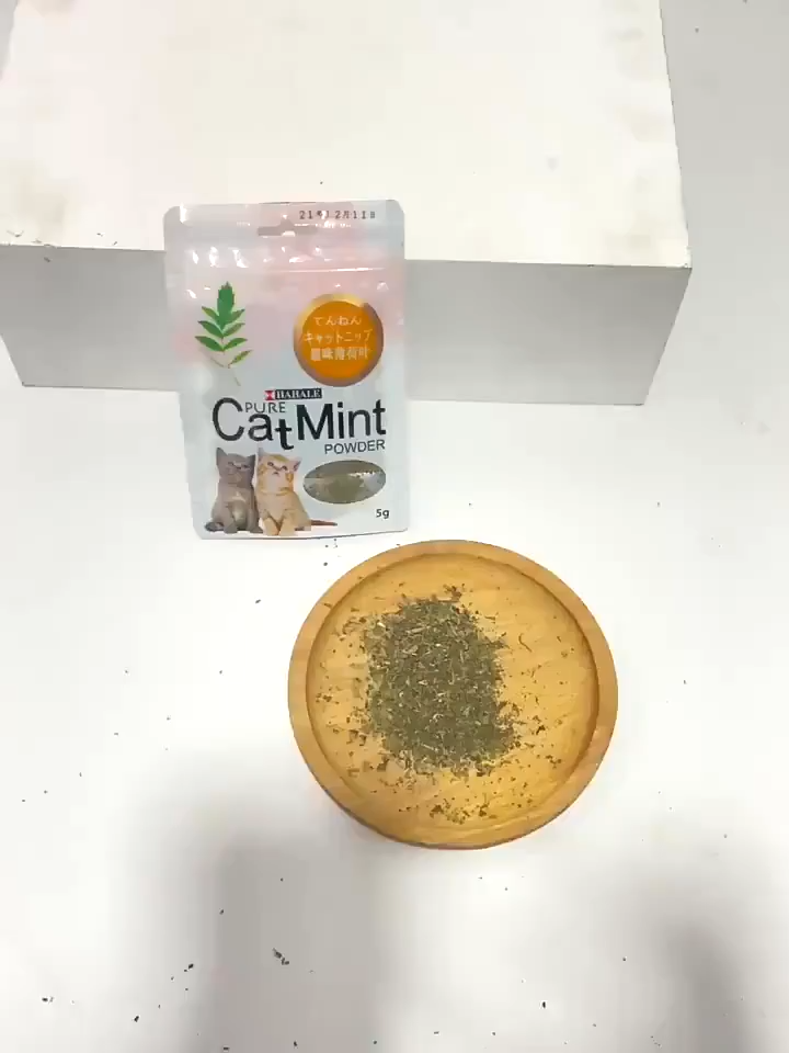 Catnip Camilan Kucing Catmint Menthol Snack Makanan Cat Kitten Aerizoo ...