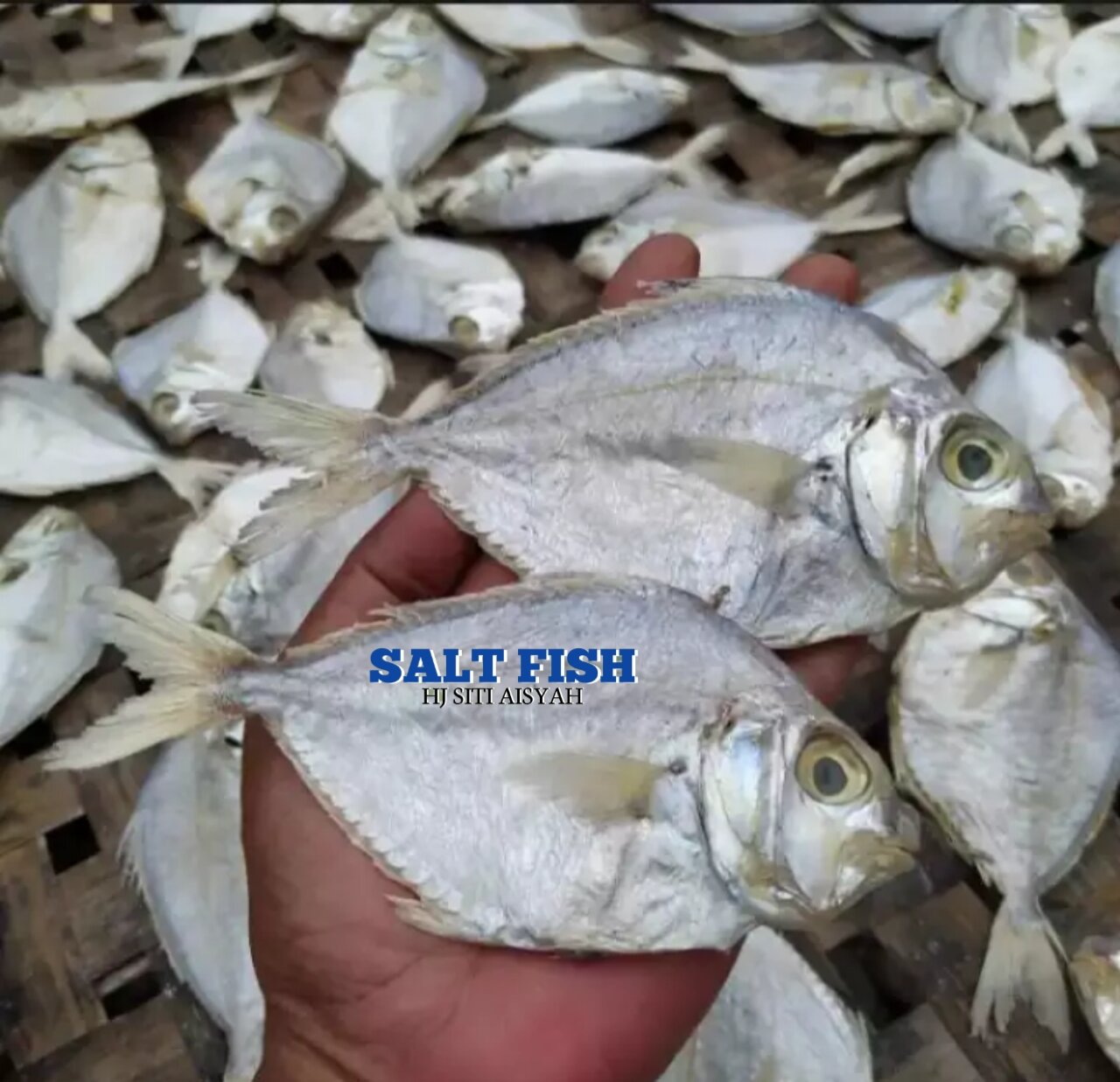 ikan asin petek besar ;500 gram best seler | Lazada Indonesia