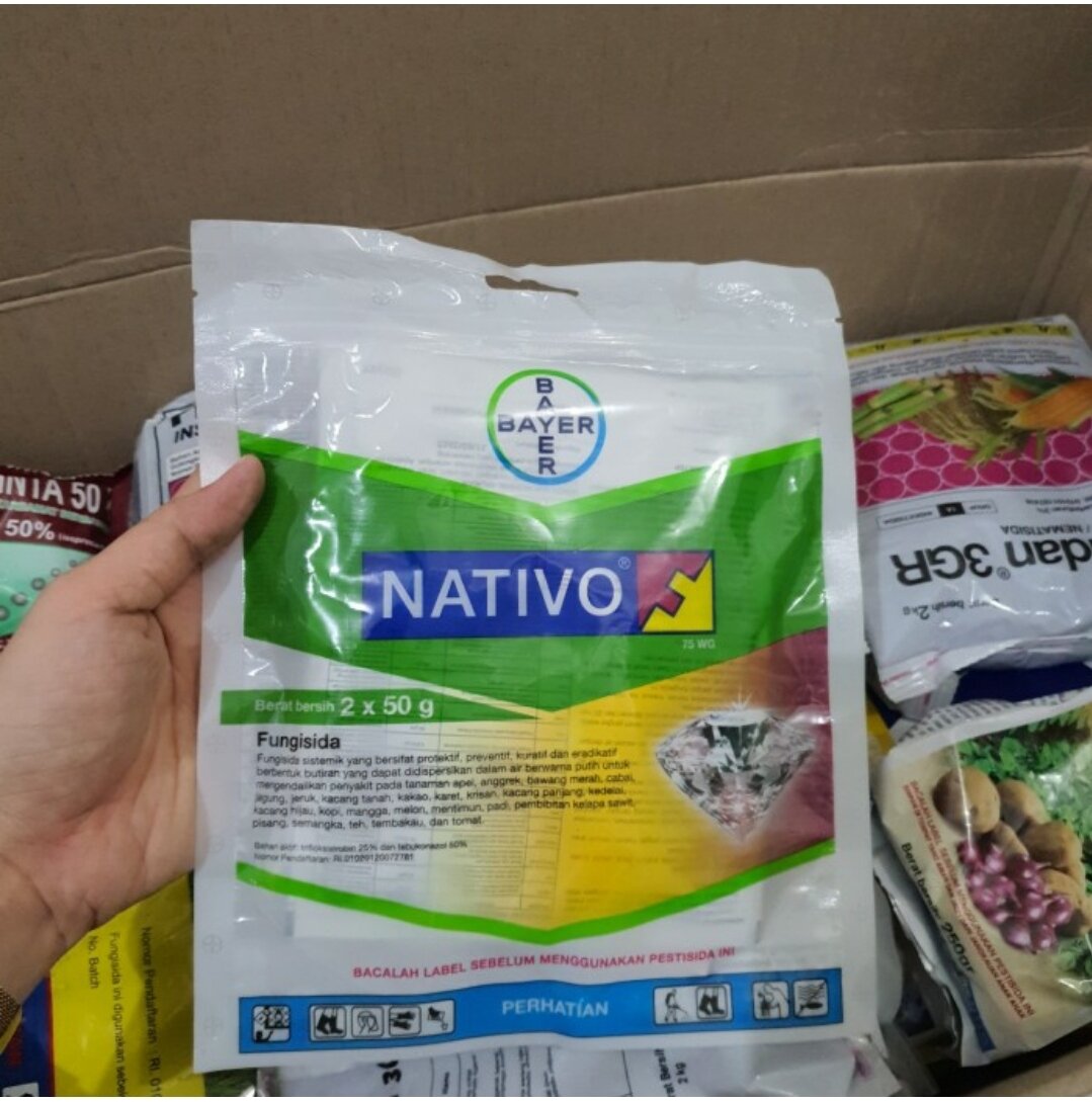 Nativo bayer 1 pax isi 2bgks kemasan 50gr | Lazada Indonesia