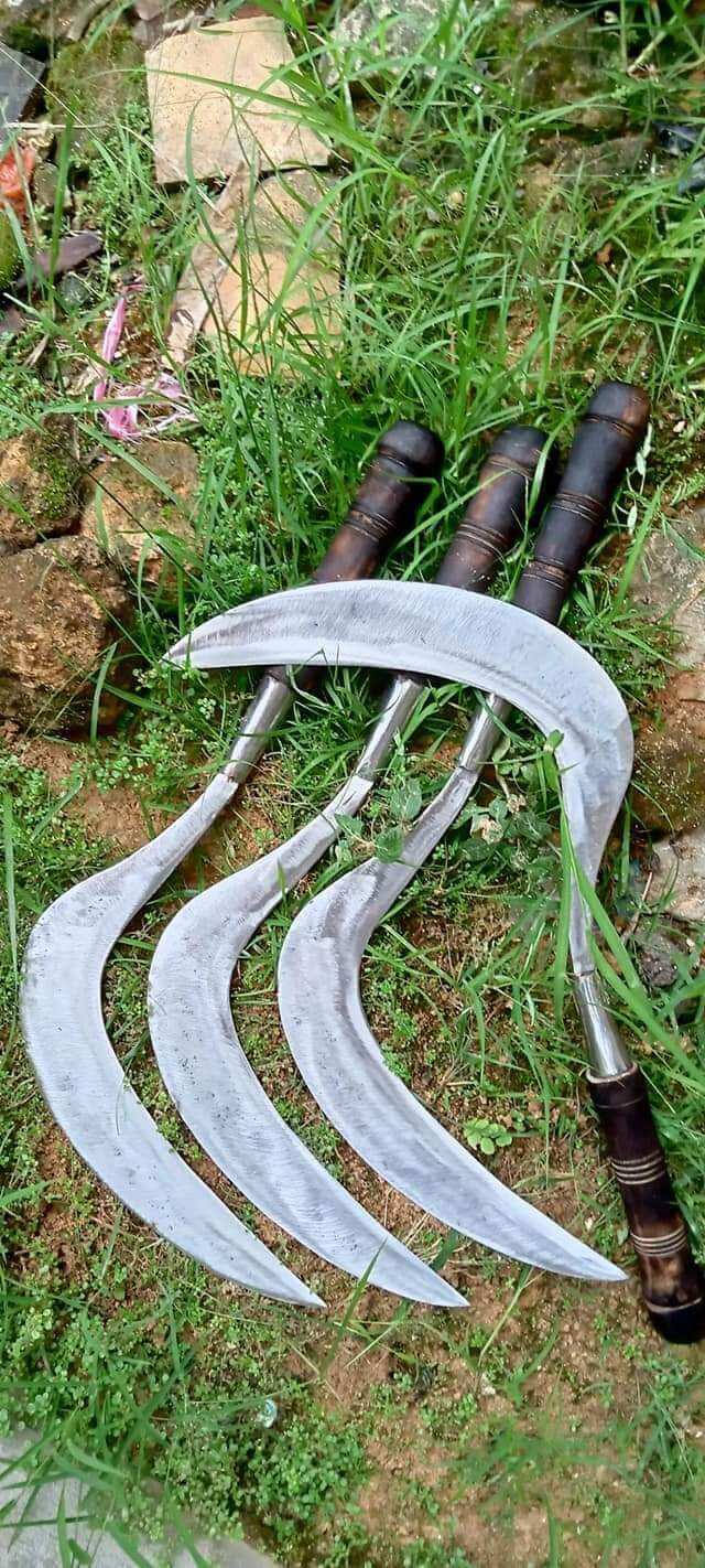 sabit rumput gajah / rumput tanam / padi / jagung | Lazada Indonesia