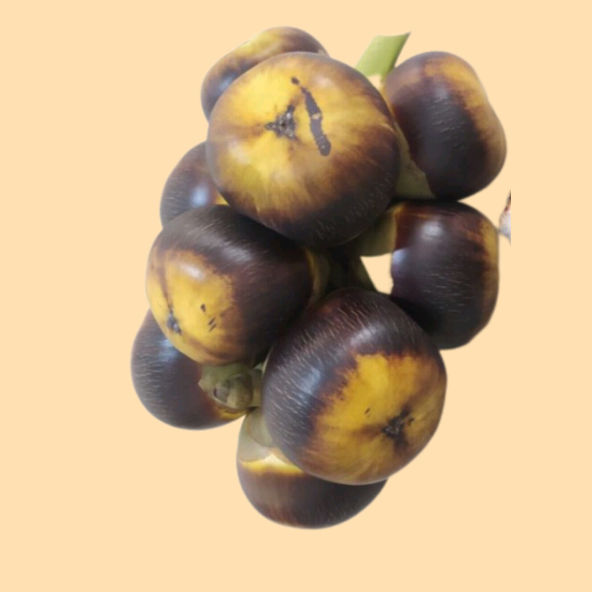 Buah Lontar/Siwalan 10 Biji (isi 30 buah)Dipetik Stelah Anda Pesan Fres ...