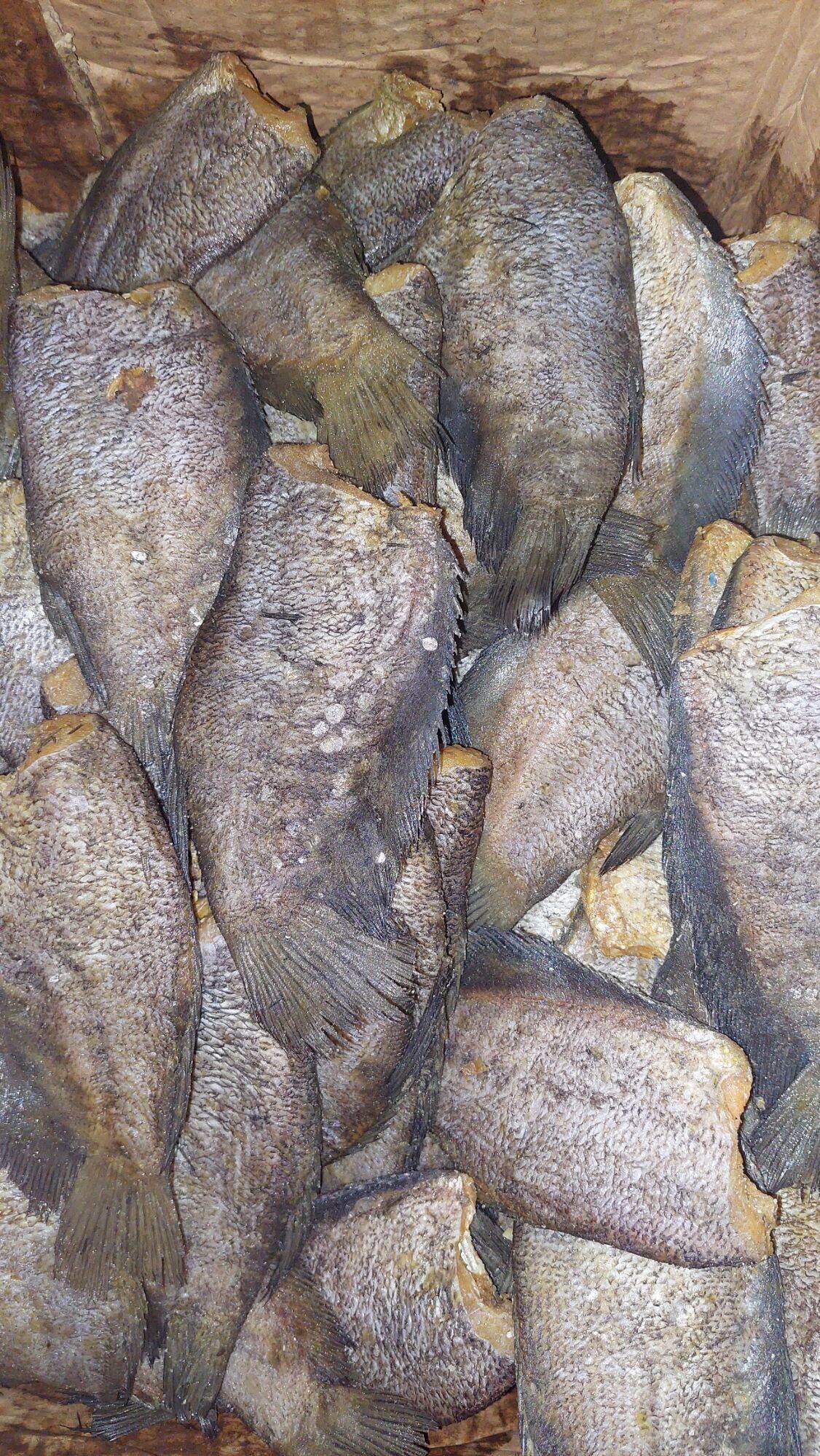 IKAN ASIN SEPAT / IKAN ASIN AIR TAWAR SEPAT BANGKOK | Lazada Indonesia IKAN ASIN SEPAT / IKAN ASIN AIR TAWAR SEPAT BANGKOK | Lazada Indonesia