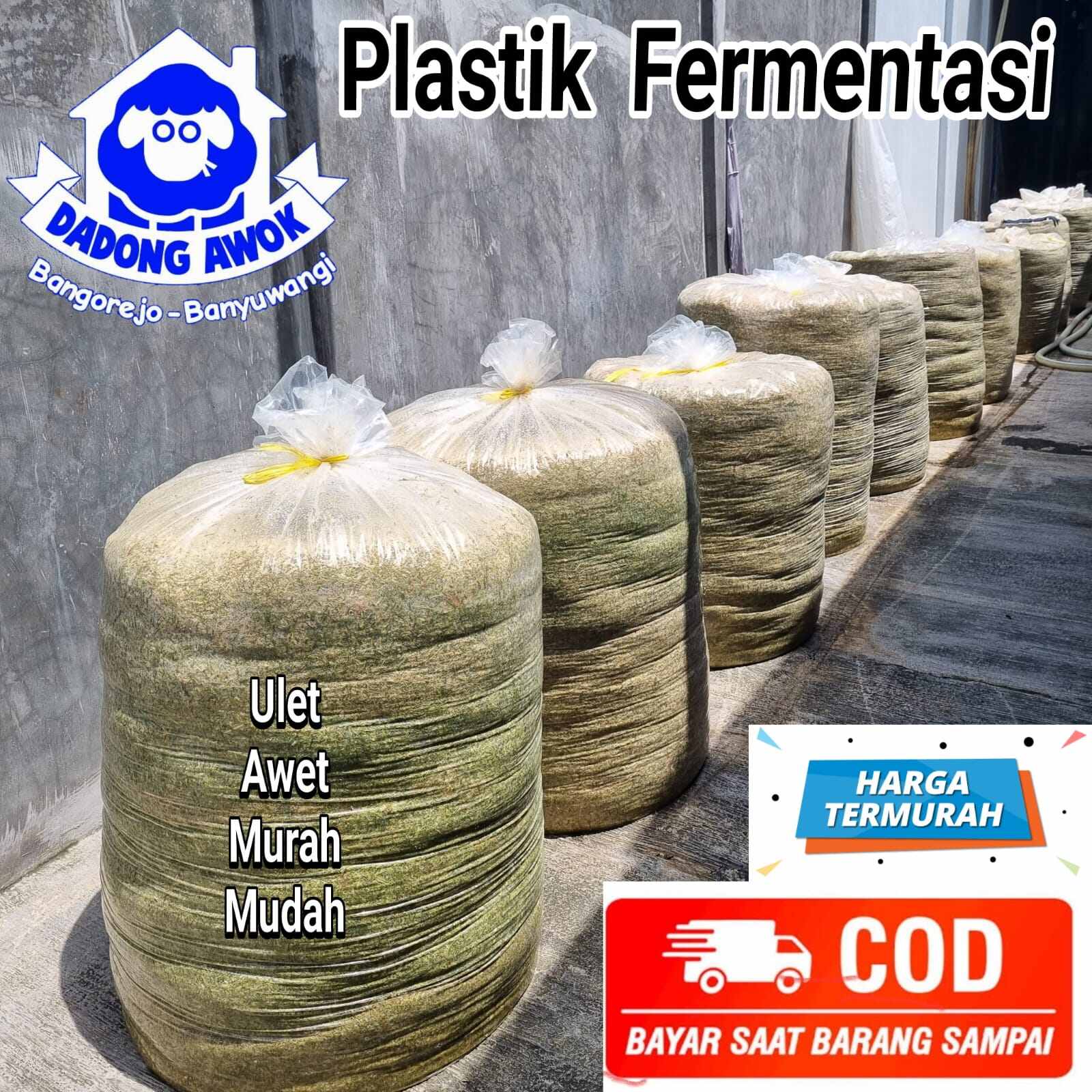 plastik Fermentasi ukuran 60 cm - kemasan tempat fermentasi silase ...