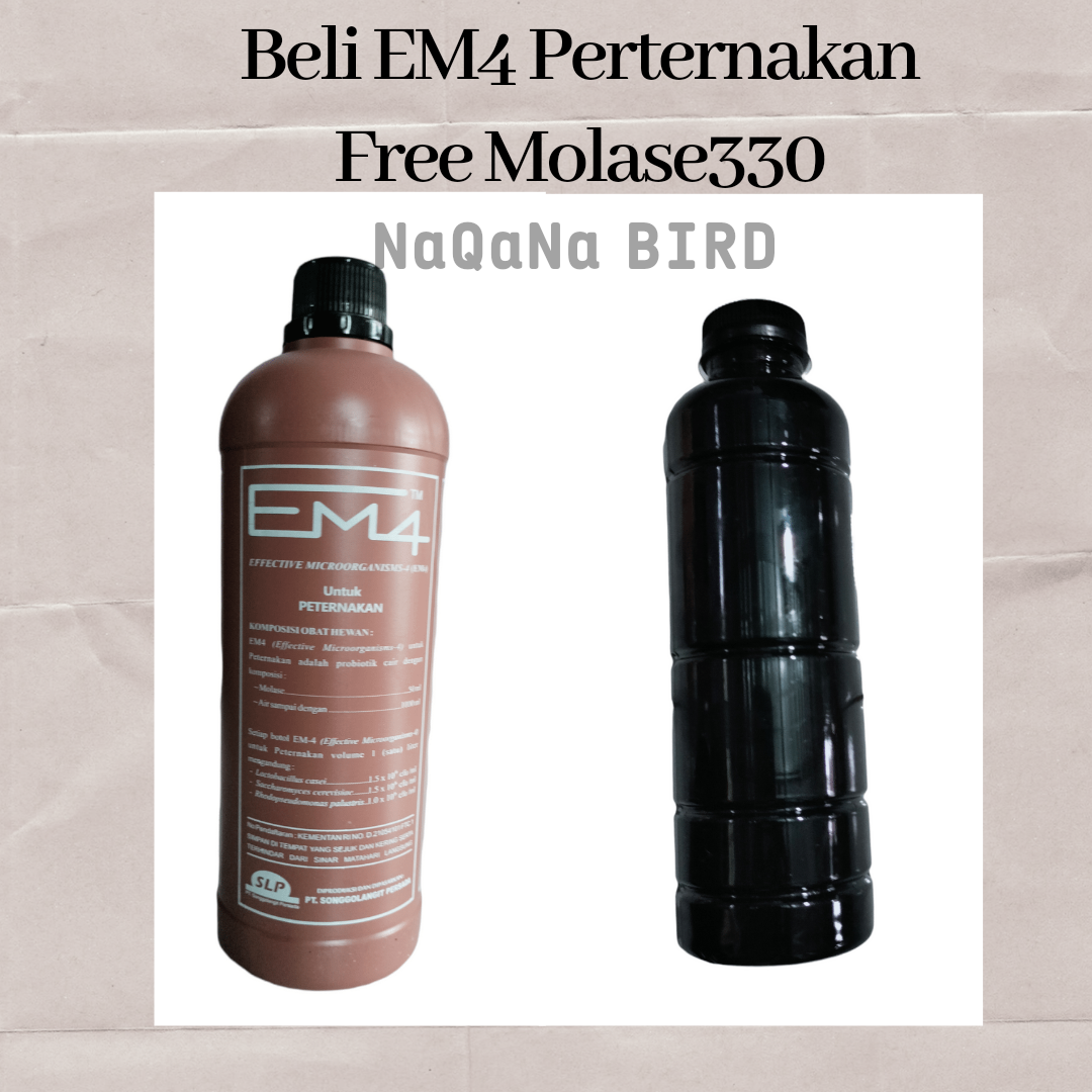 em4 ternak plus molase fermentasi pakan ternak | Lazada Indonesia