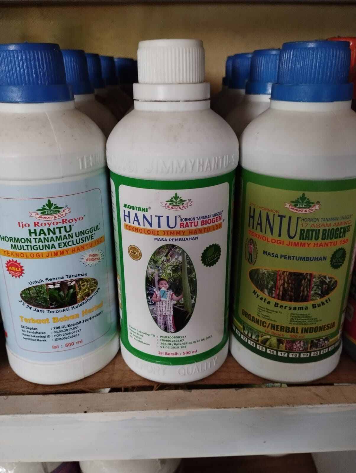 PAKET HEMAT PUPUK JIMMY HANTU KEMASAN 500ML | Lazada Indonesia