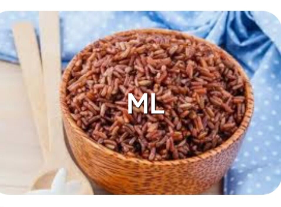 Jual benih padi huma padi khusus darat beras merah | Lazada Indonesia