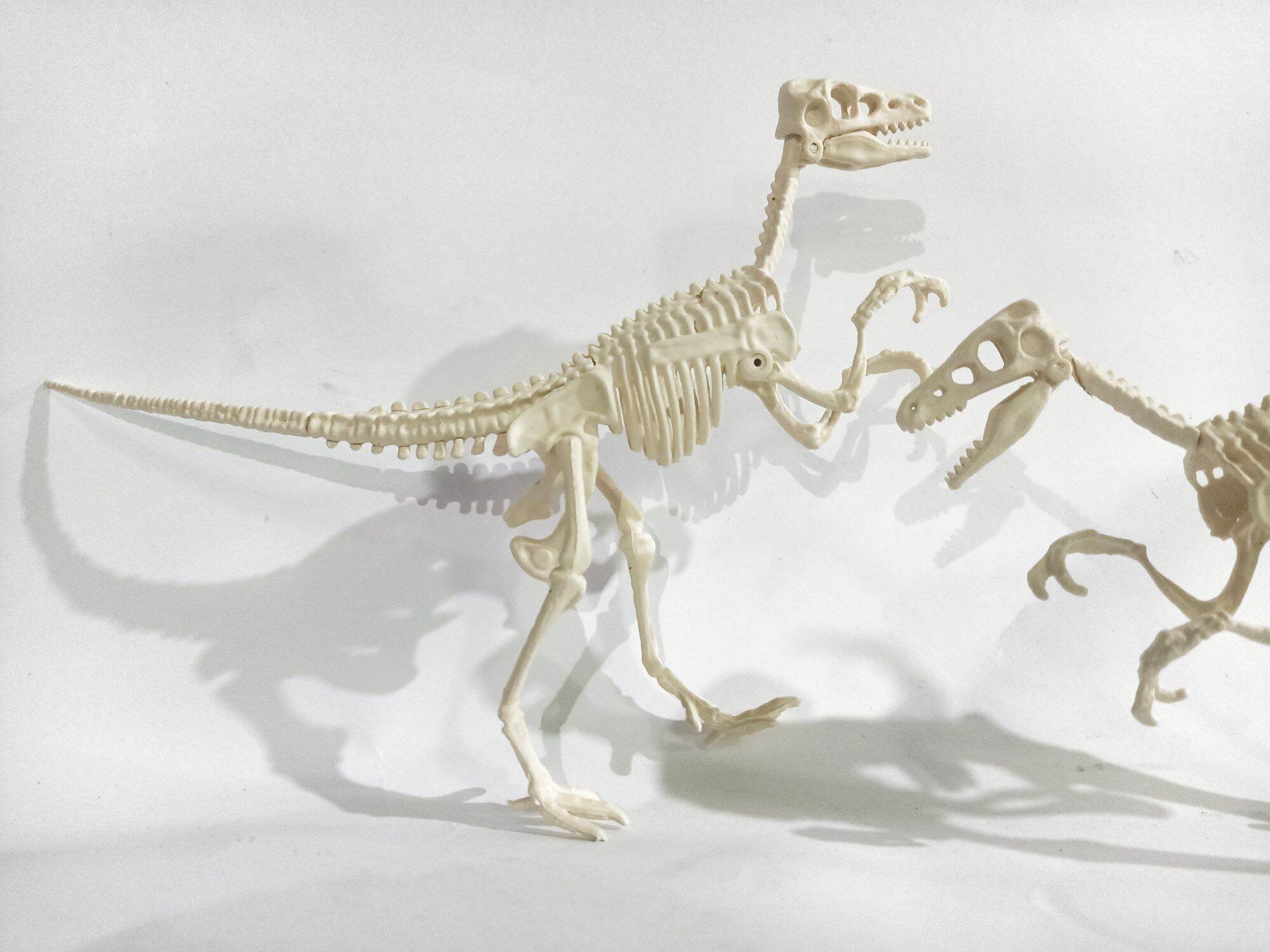 Kerangka Tengkorak Dinosaurus | Lazada Indonesia