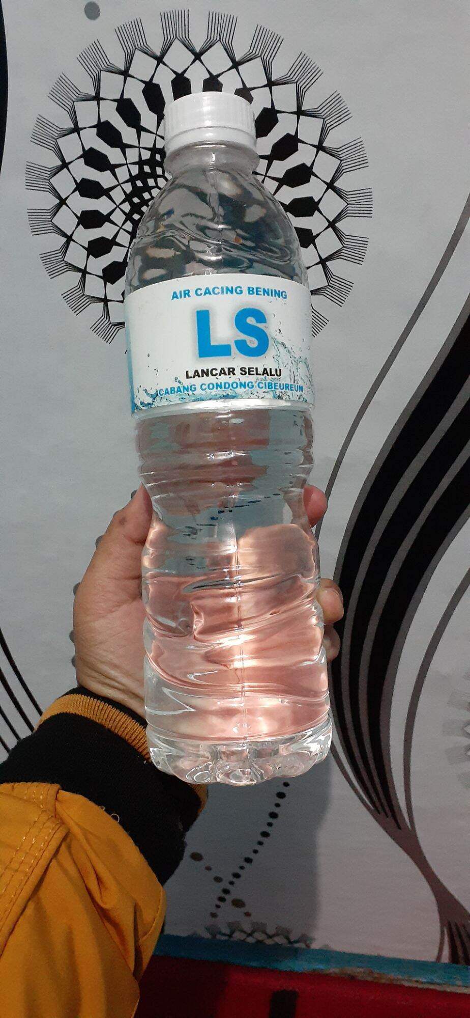 MINUMAN TRADISIONAL - OBAT TRADISIONAL - AIR CACING BENING | Lazada ...