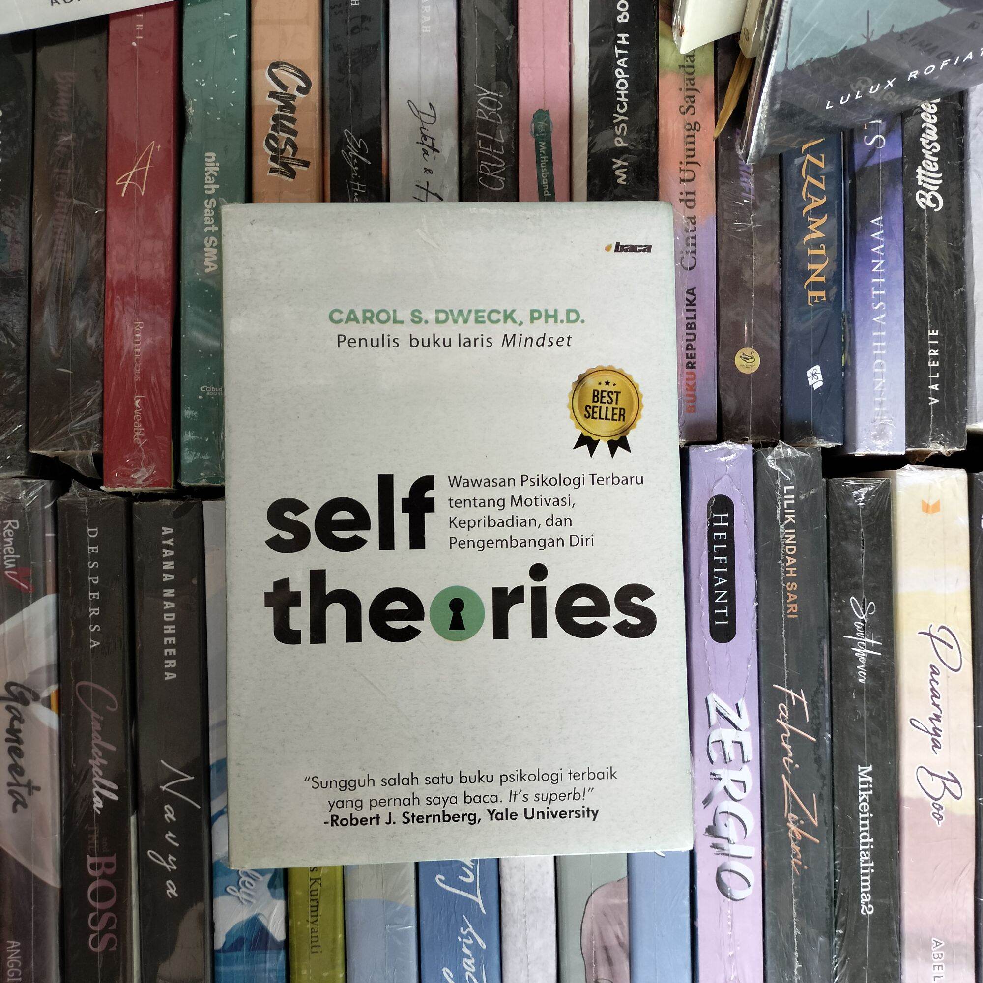 SELF THEORIES : CAROL S. DWECK | Lazada Indonesia