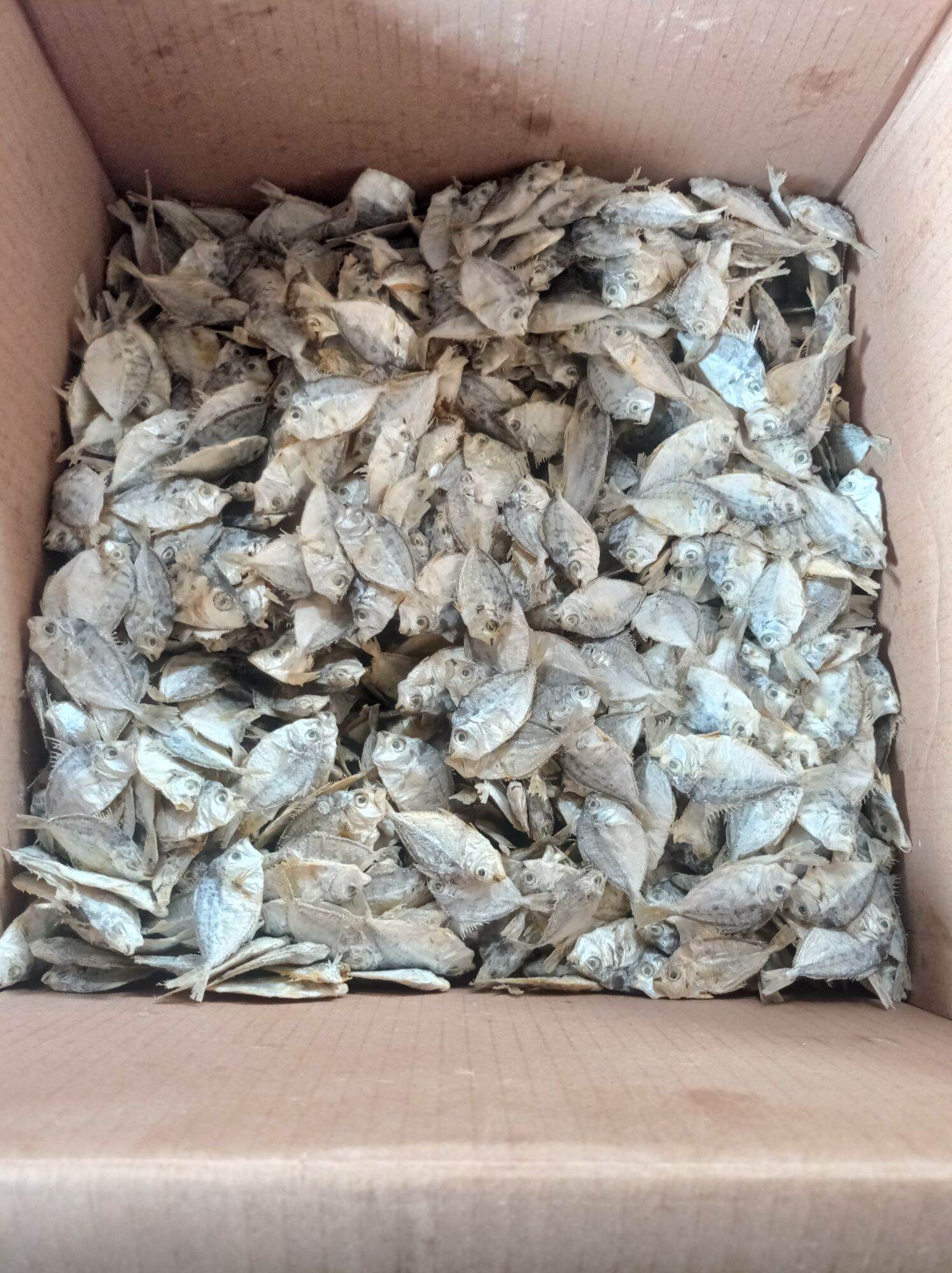 PROMO.....!! Ikan Asin pirik/petek kecil 1 kg | Lazada Indonesia