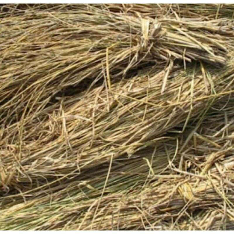 JERAMI PADI 1KG JERAMI KERING | Lazada Indonesia