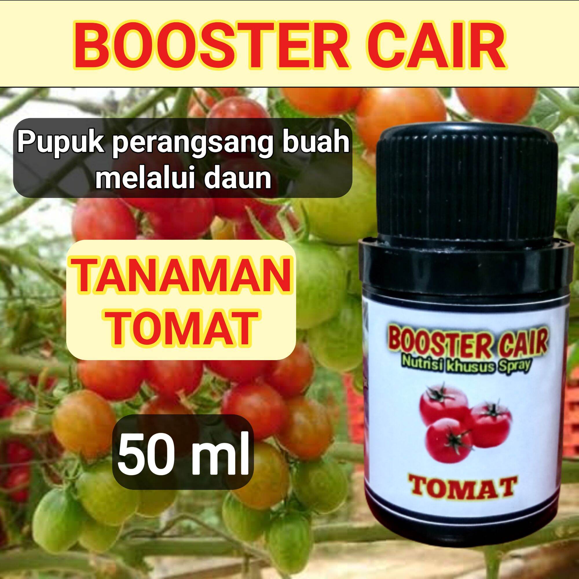 Pupuk booster cair tanaman tomat penyubur daun dan buah kemasan botol ...