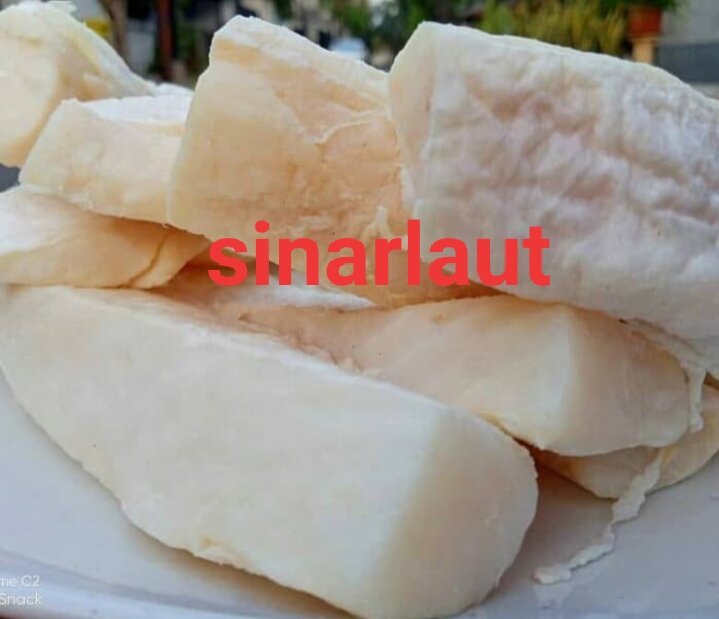 ikan asin cucut balok 500grm/1kg | Lazada Indonesia