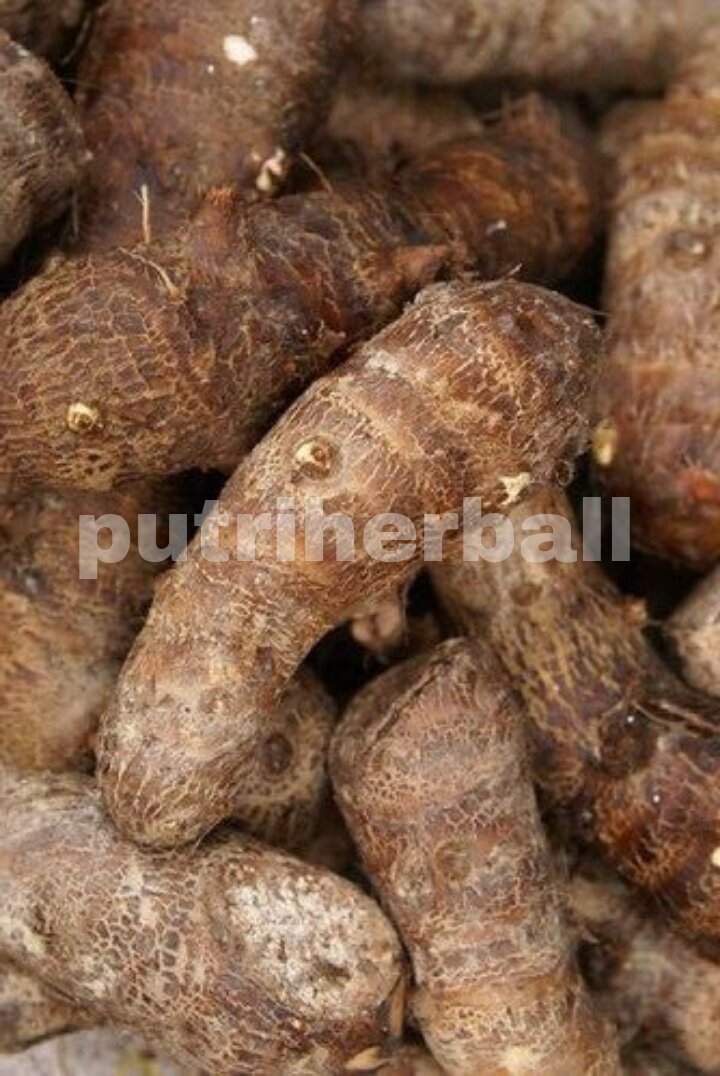 JUAL UBI TALAS KIMPUL TALAS KAMPUNG 1 KG HASIL KEBUN | Lazada Indonesia