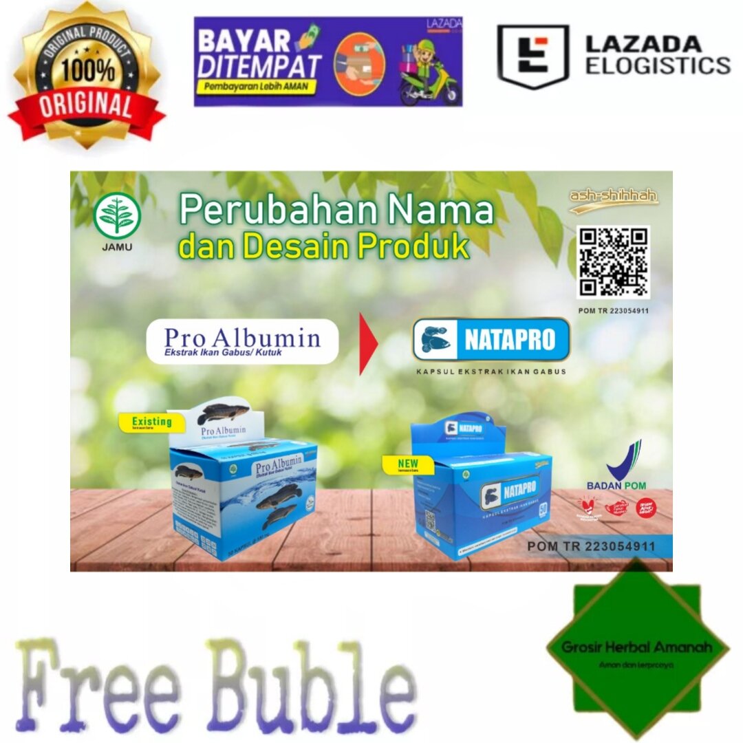 Natapro (Dulu Pro Albumin) Ash-Shihhah Kapsul Ekstrak Ikan Gabus ...