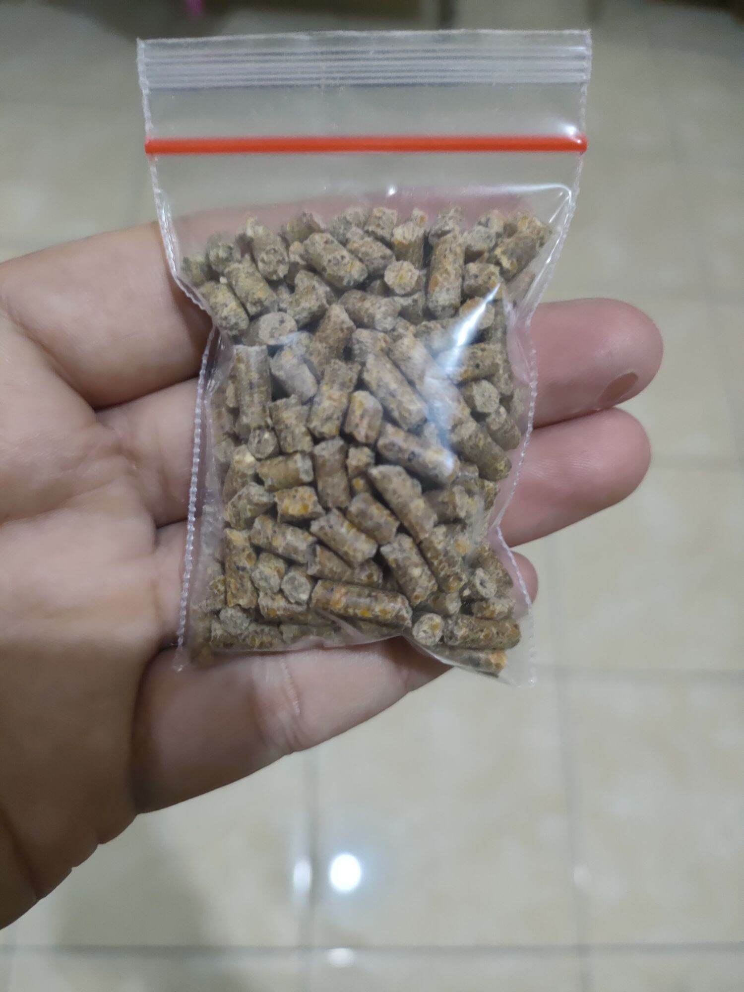 Pur babi 551 | Lazada Indonesia
