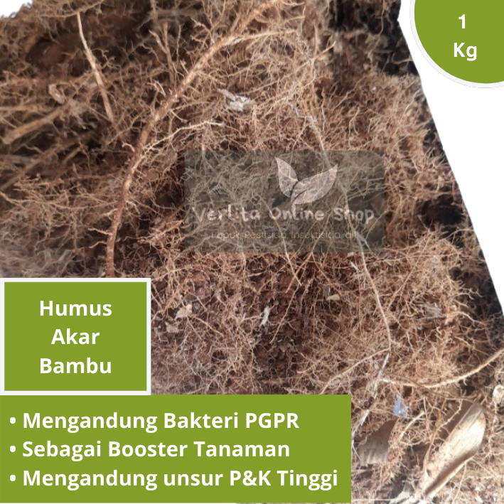 Humus Akar Bambu 1Kg Media Tanam Premium | Lazada Indonesia