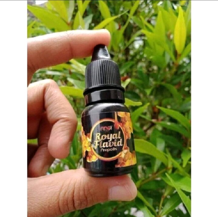 PROPOLIS/ ROYAL FLAVID MSI / OBAT KESEHATAN | Lazada Indonesia
