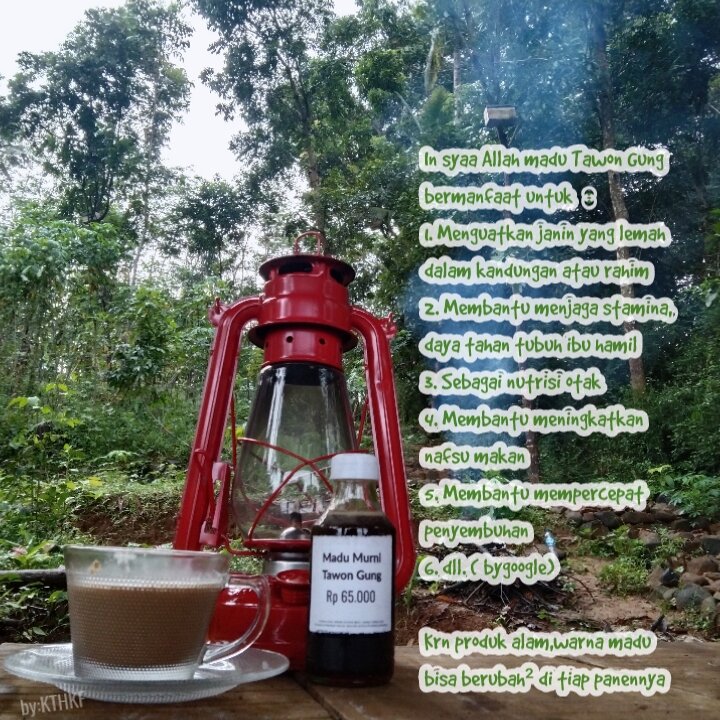 madu tawon gung / Baduy 150ml. | Lazada Indonesia