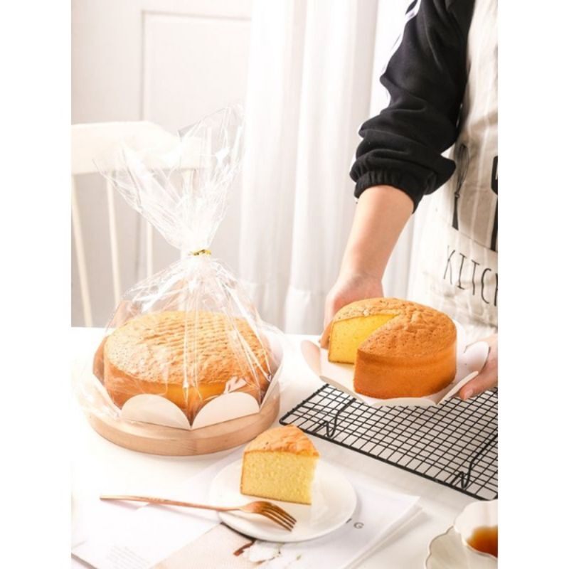 PLASTIK ROTI CHIFON CAKE CHEESECAKE PLASTIK TRAY ROTI PR-08 (10pcs ...