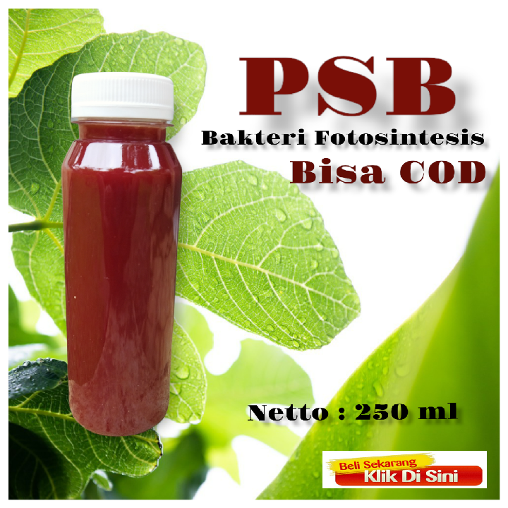 PSB Bakteri Fotosintesis/Biang PSB/Pupuk Organik Cair/Booster Tanaman ...