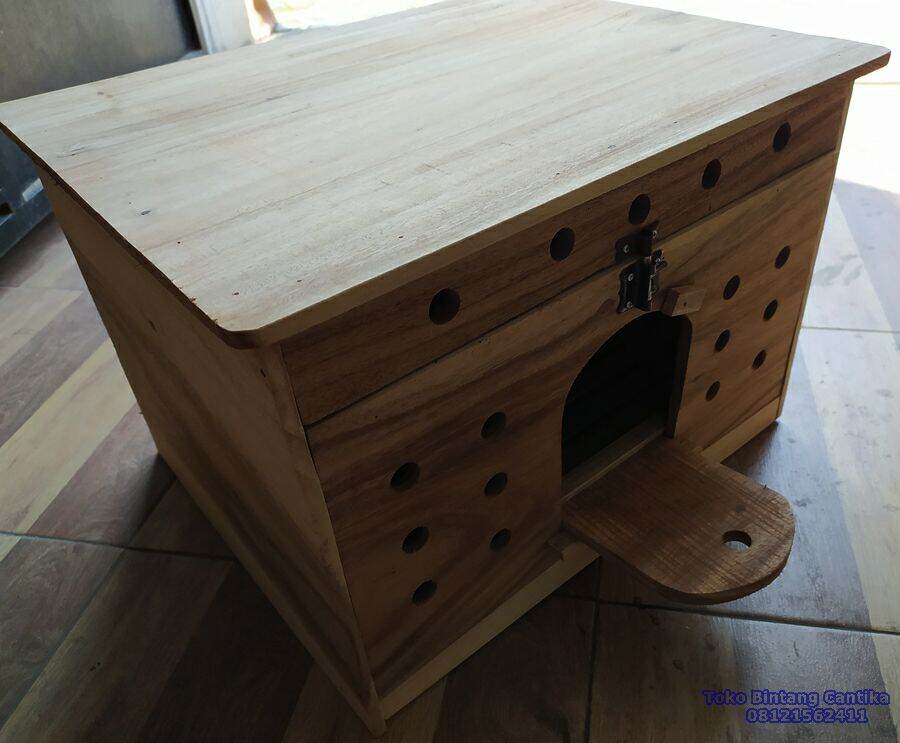 Gupon Rumah Merpati Burung Dara Ukuran Jumbo Super Keren | Lazada Indonesia