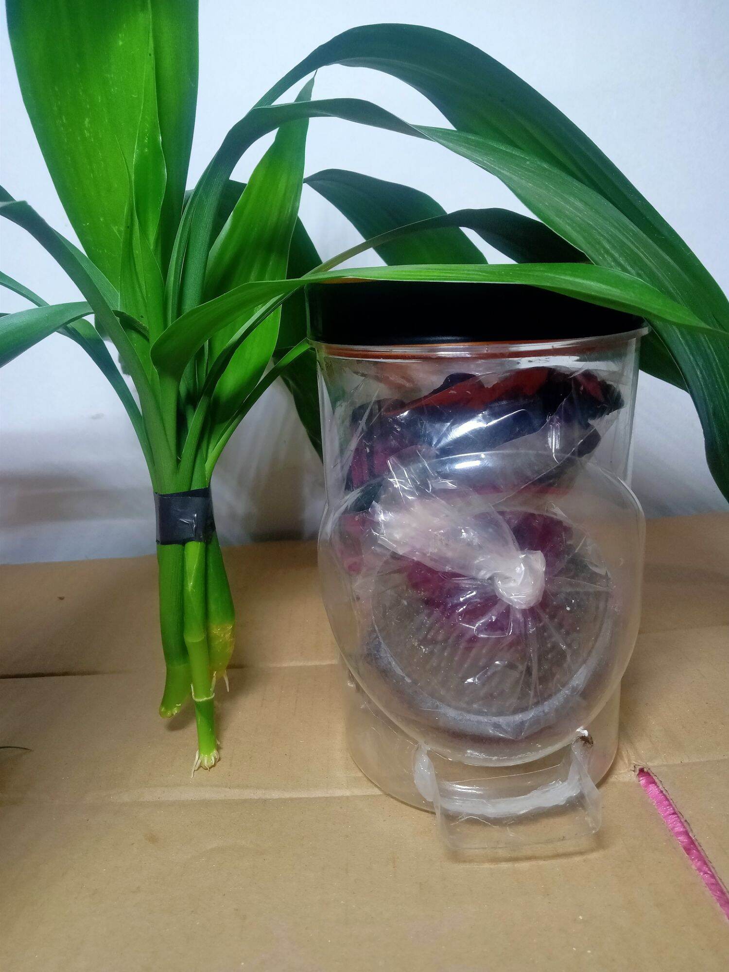 filter aquarium Curug/filter aquarium rakitan/filter aquarium rakitan ...