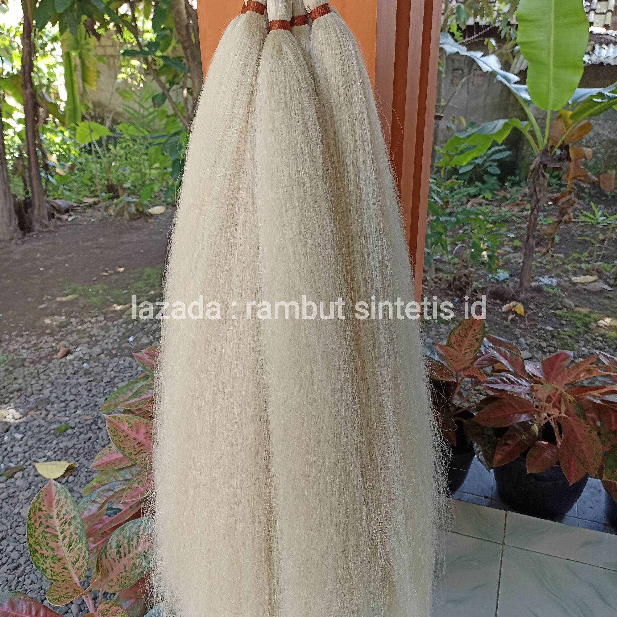 RAMBUT CEMARA PUTIH TULANG HARGA PER 1 PCS | Lazada Indonesia