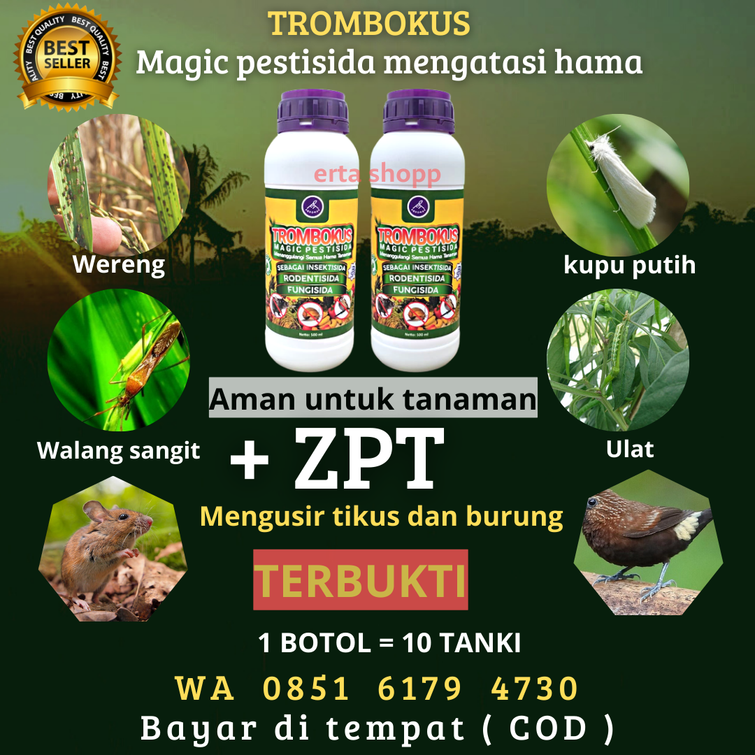 PENGENDALI HAMA TANAMAN,TROMBOKUS,PUPUK,PUPUK CAIR,PUPUK ORGANIK,PUPUK ...
