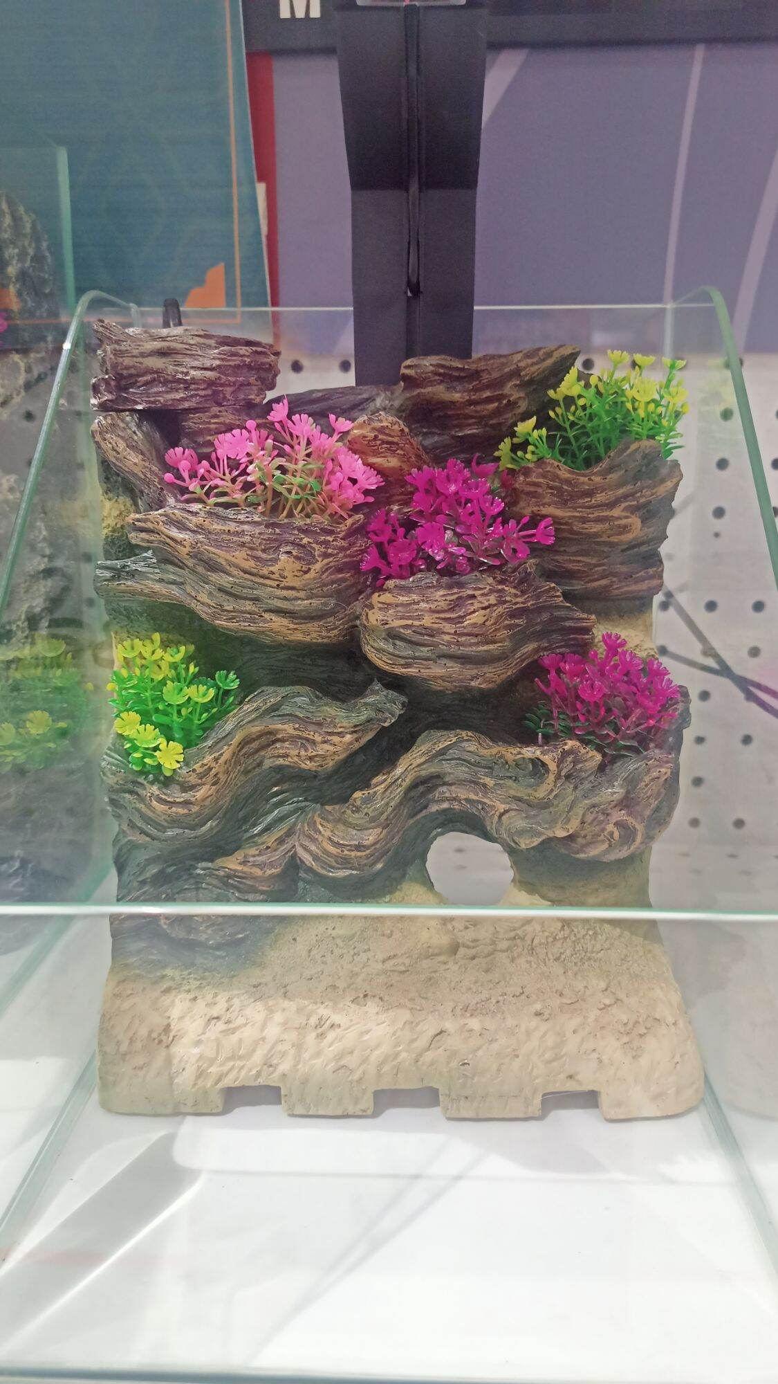 aquarium mini paludarium | Lazada Indonesia