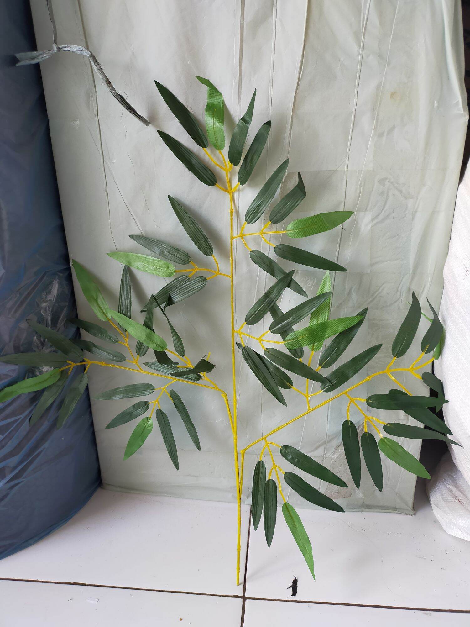 daun bambu satuan | Lazada Indonesia