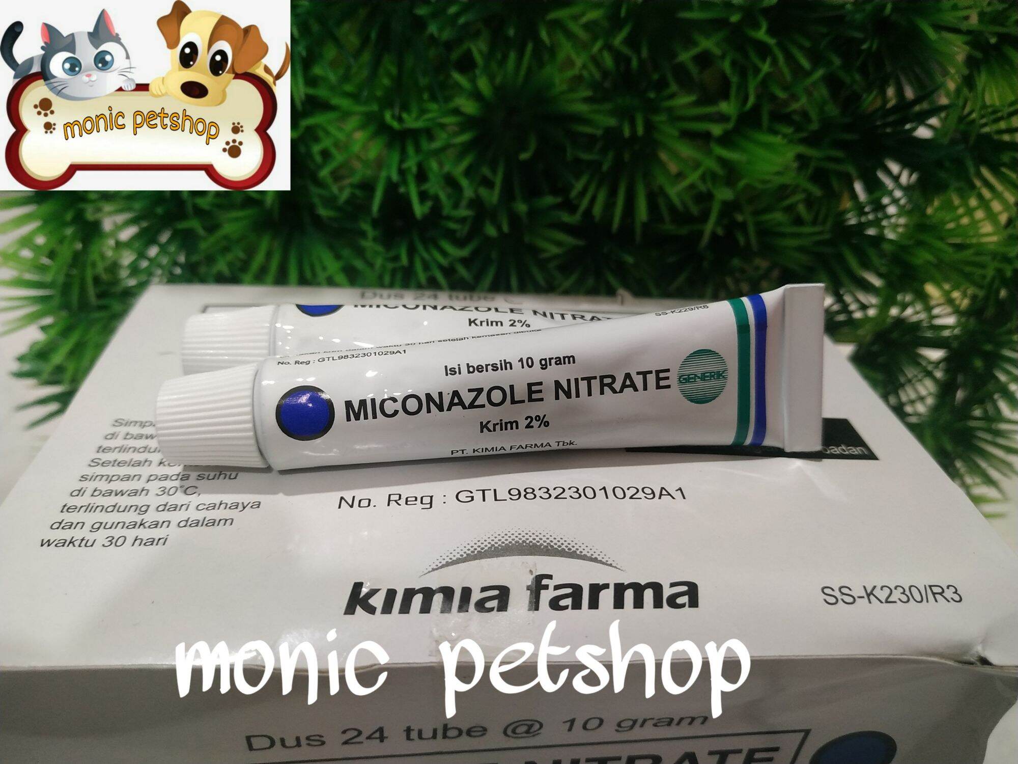 Salep Miconazole Nitrate- Salep anti jamur Kucing 10gr | Lazada Indonesia