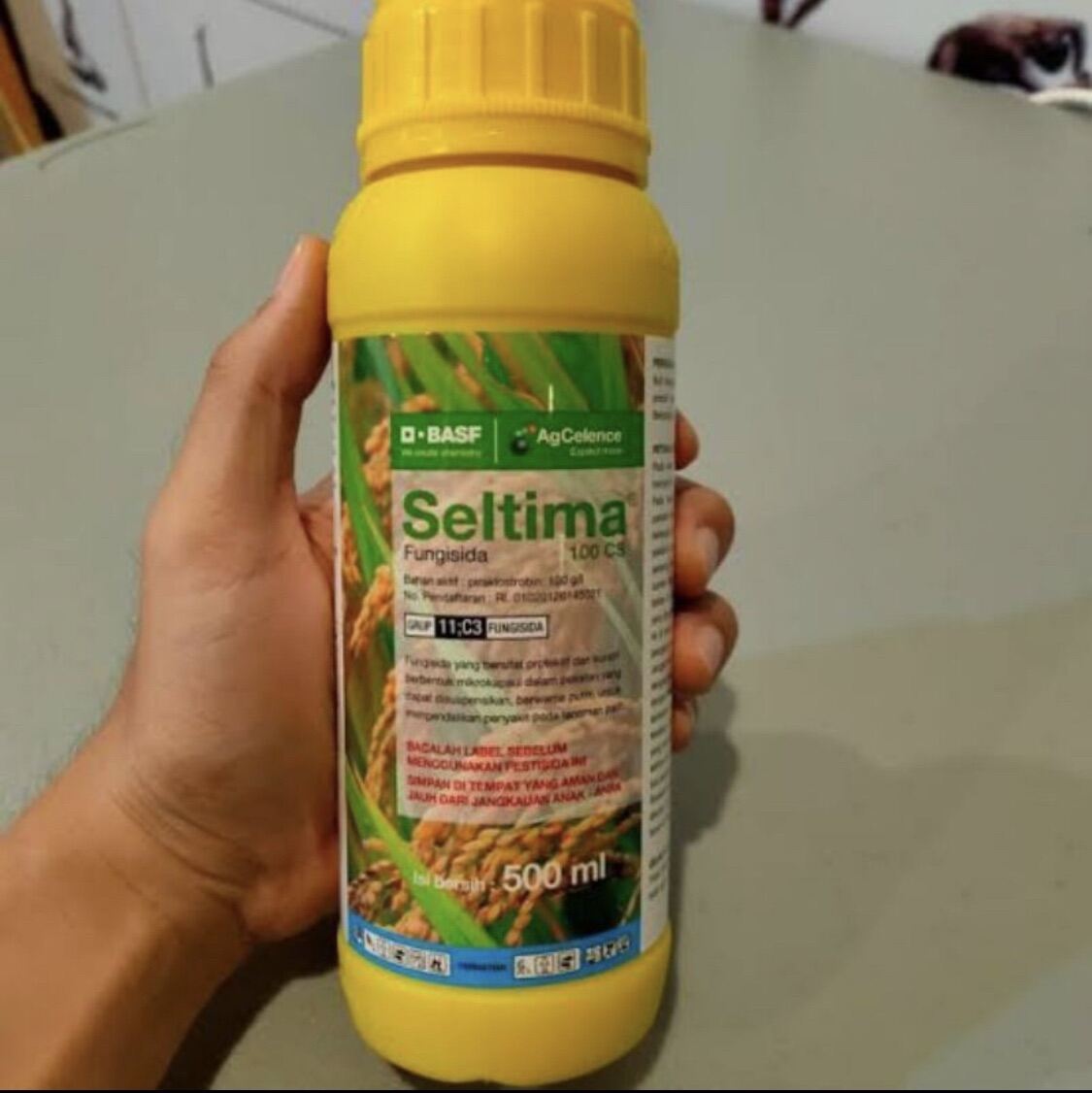 FUNGISIDA SELTIMA 100CS 500ml BASF Busuk leher | Lazada Indonesia