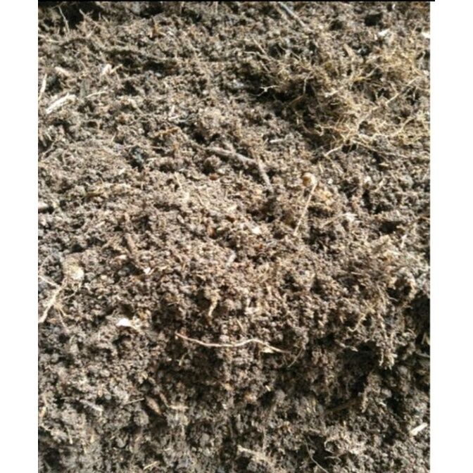 humus akar bambu media tanam 1000 grm | Lazada Indonesia