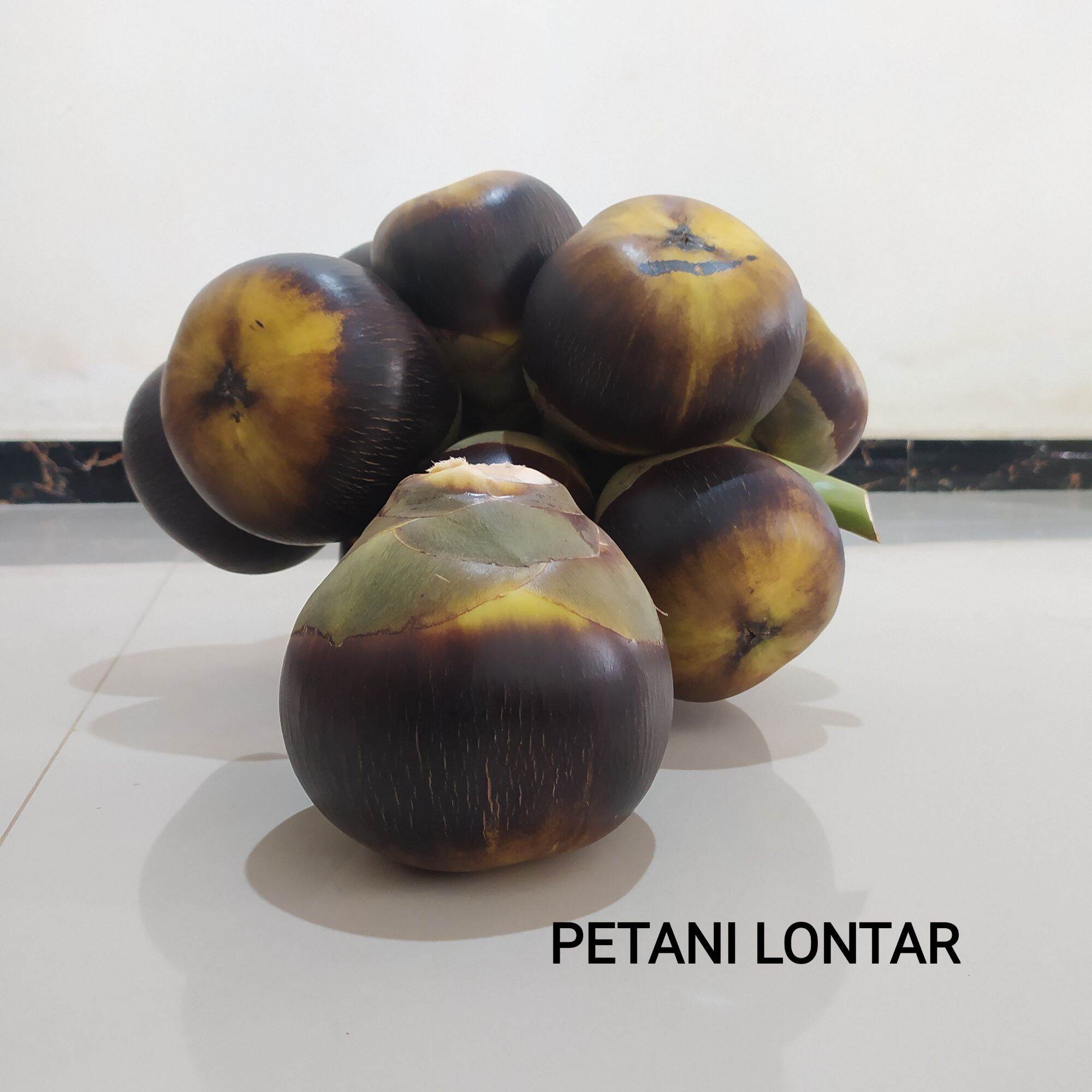 BUAH LONTAR, 1 Buah buat ( isi 3 biji buah ) | Lazada Indonesia