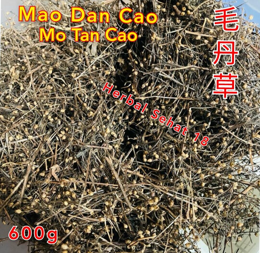 Mao Dan Cao / Mo Tan Cho / Motanco 600g Herbal Untuk Tipes | Lazada ...