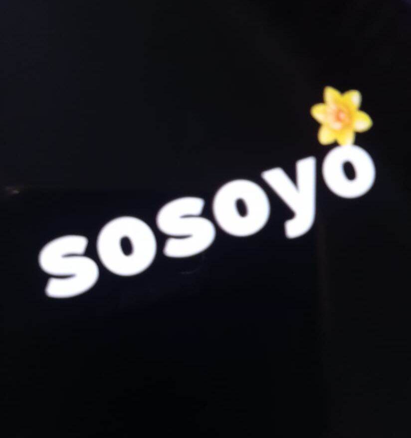 Toko Resmi SOSOYO Online | Lazada.co.id
