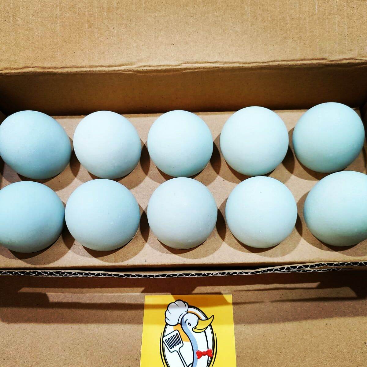 Telur asin matang per pack isi 10 bj | Lazada Indonesia
