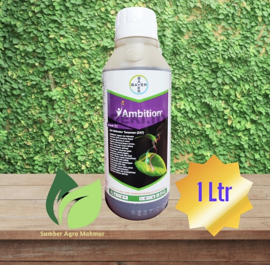 AMBITION 1 LTR ZAT ACTIVATOR TANAMAN DARI BAYER | Lazada Indonesia