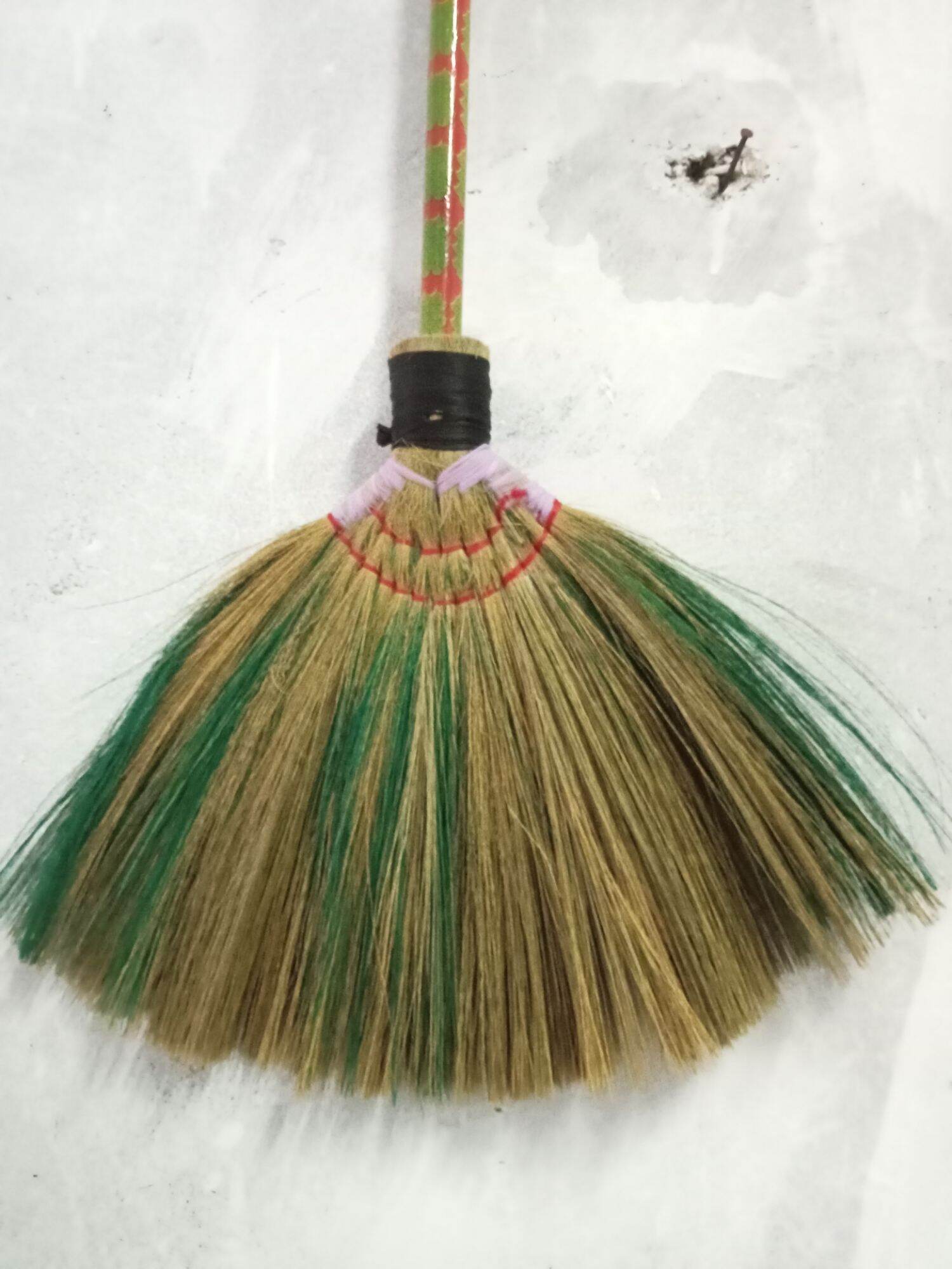 Recloto ( sapu uyun pirang ) sapu uyun jawa sapu rayung jawa sapu jawa ...