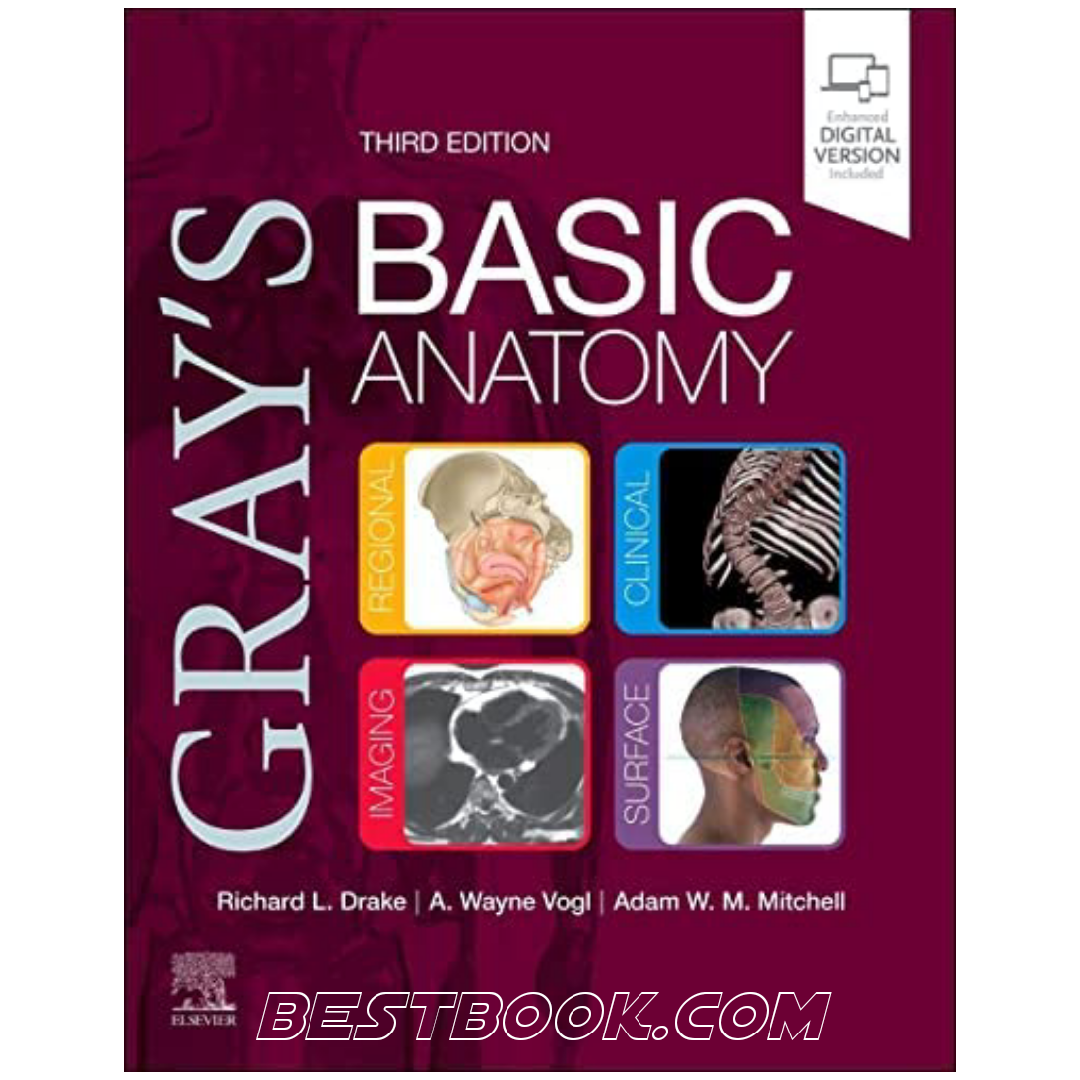 GRAY'S BASIC ANATOMY 3E - RICHARD L DRAKE | Lazada Indonesia