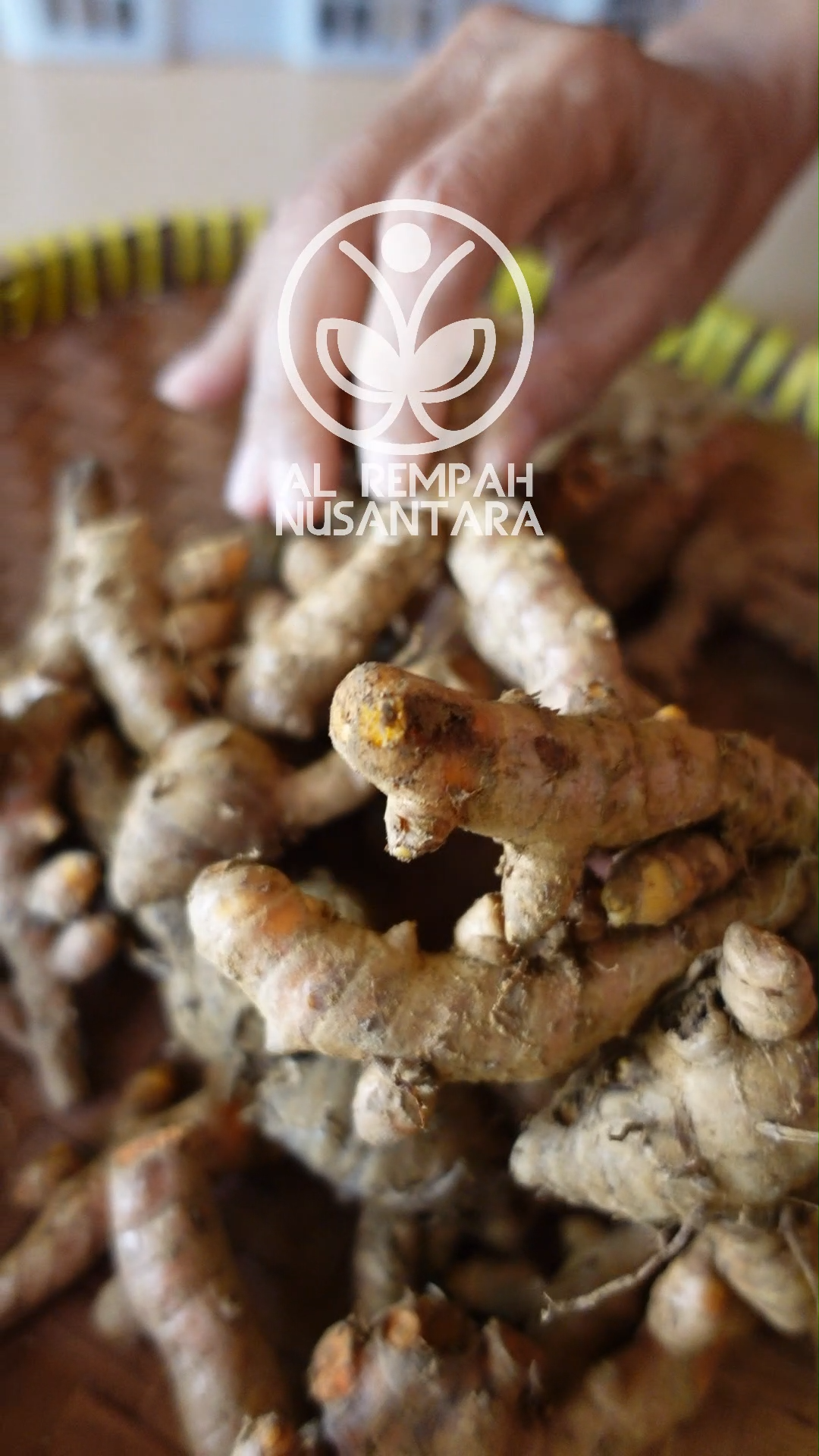 Kunir atau Kunyit Segar 1kg Organik - Asli Gunung | Lazada Indonesia