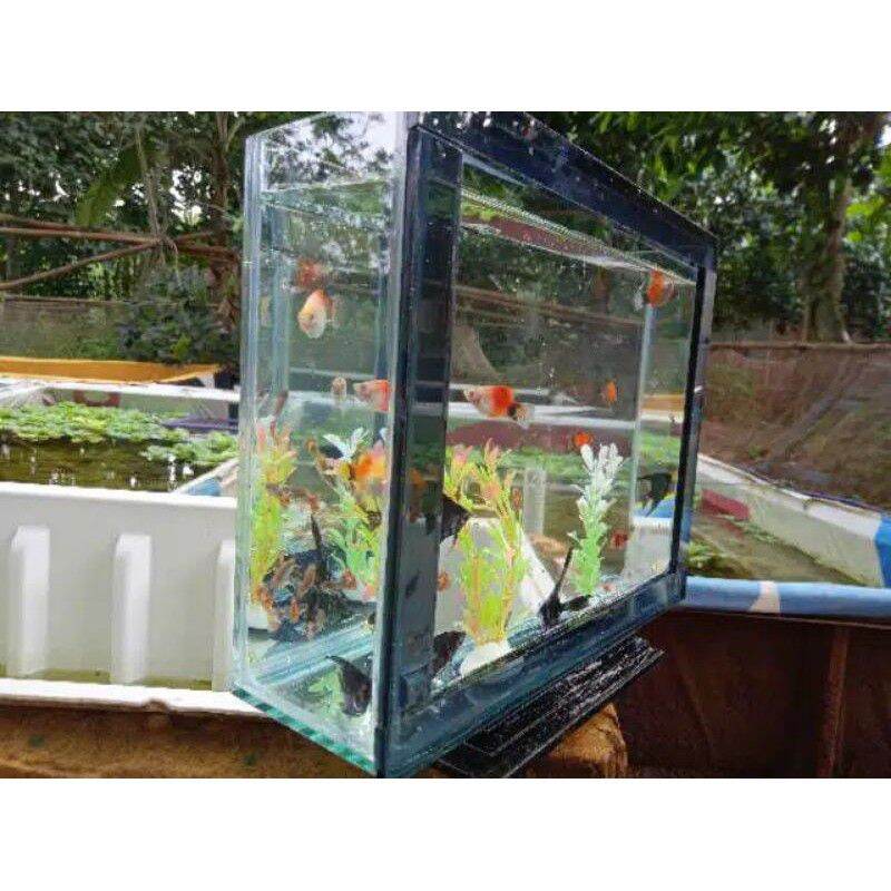 soliter led tv, ikan cupang/ikan kecil lainnya/akuarium mini/1pcs ...