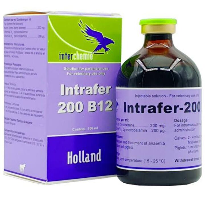INTRAFER 200 B 12 memacu pertumbuhan ternak | Lazada Indonesia
