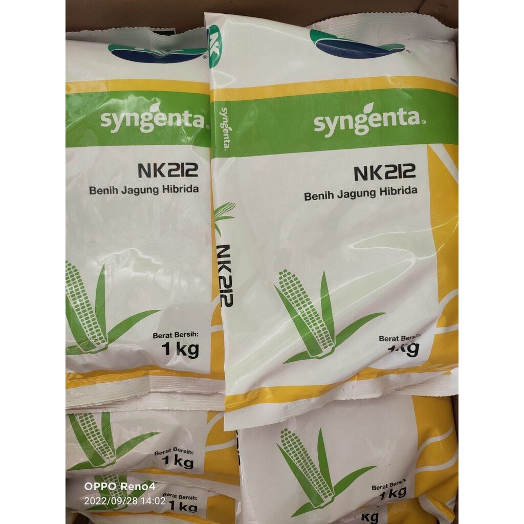 1dus benih jagung nk 212 kemasan 1 kg syngenta | Lazada Indonesia