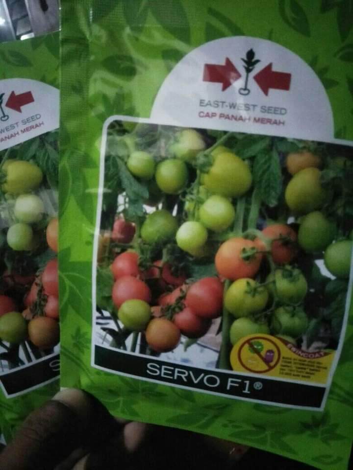 benih servo asli cap panah merah 5gr | Lazada Indonesia
