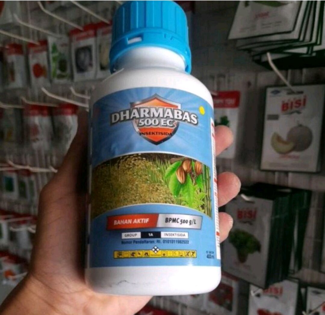 INSEKTISIDA DARMABAS 400 ML OBAT ULAT WALANG SANGIT DAN WERENG | Lazada ...